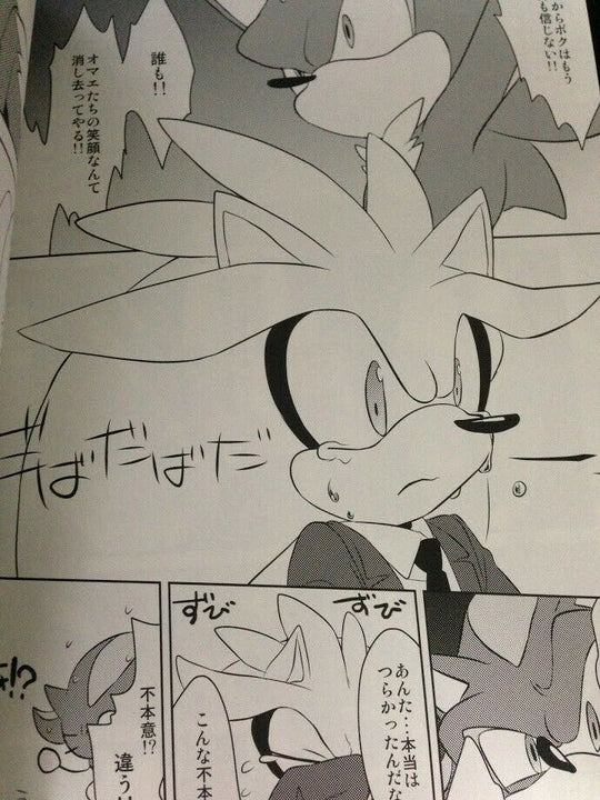 Sonic The Hedgehog Doujinshi Sonic X Shadow B5 50pages Root8beat Ons 1857
