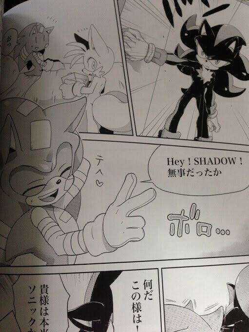Sonic The Hedgehog Doujinshi Sonic X Shadow B5 40pages Deep Love Muy 0691